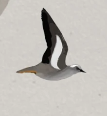 Lamarqueavis | Saurian Wikia | Fandom