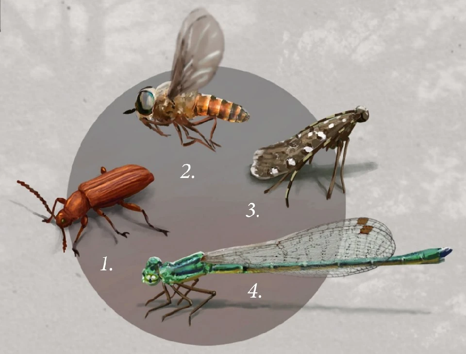 Insecta | Saurian Wikia | Fandom