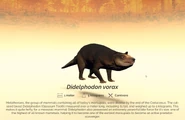 Didelphodon | Saurian Wikia | Fandom