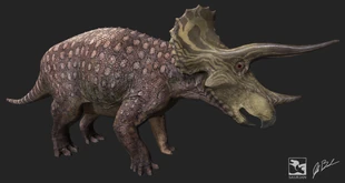 Triceratops | Saurian Wikia | Fandom