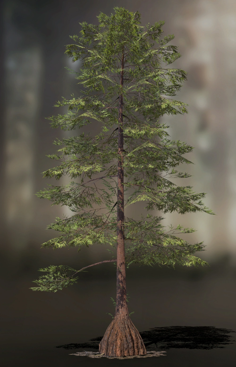 Glyptostrobus europaeus | Saurian Wikia | Fandom