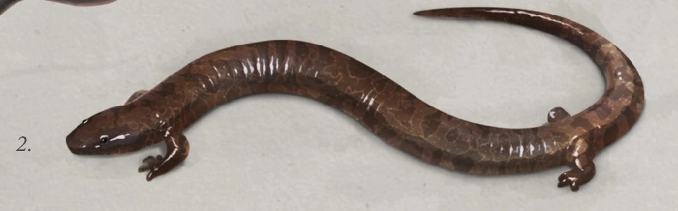 Scapherpeton | Saurian Wikia | Fandom