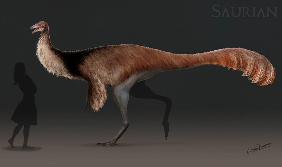 Animals you can't figure out why they aren't extinct | Page 6 ...