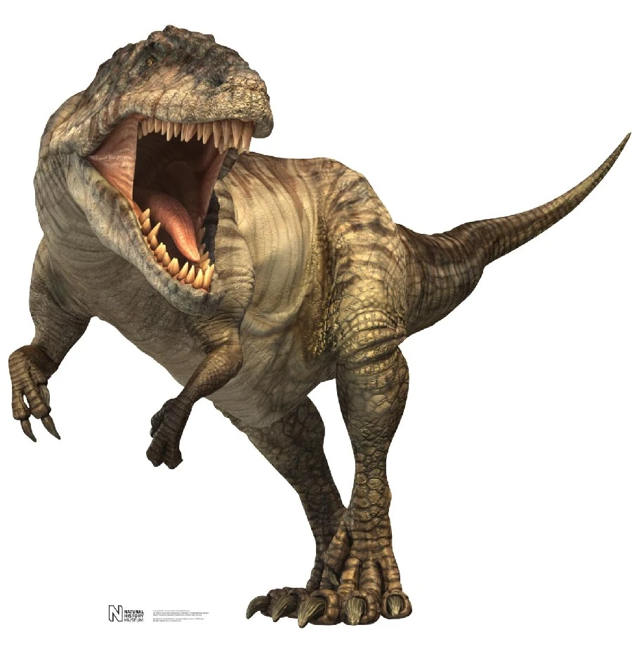 Gigantosaurus | Sauropedia Wiki | Fandom