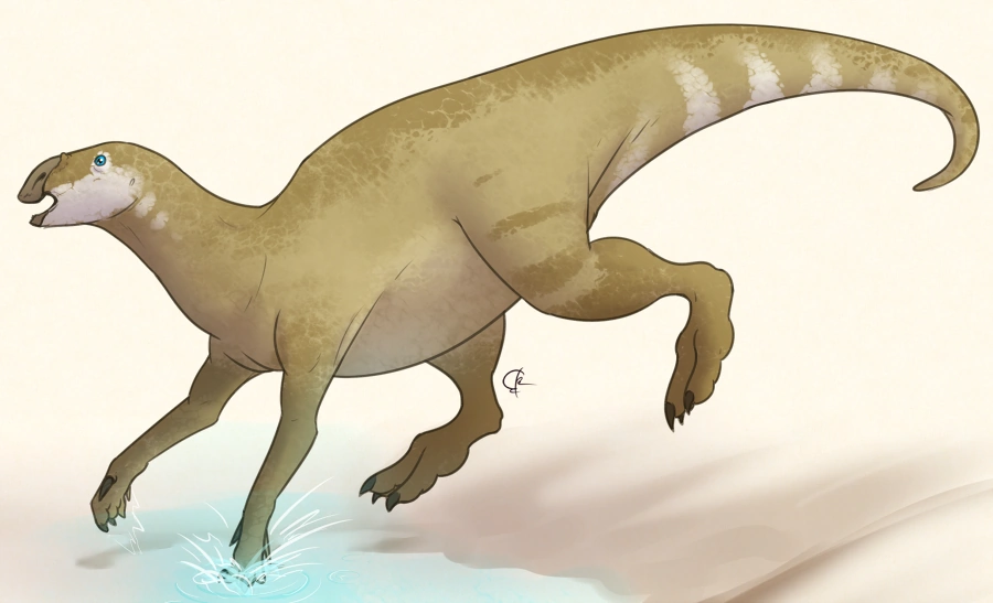 Orthomerus | Sauropedia Wiki | Fandom