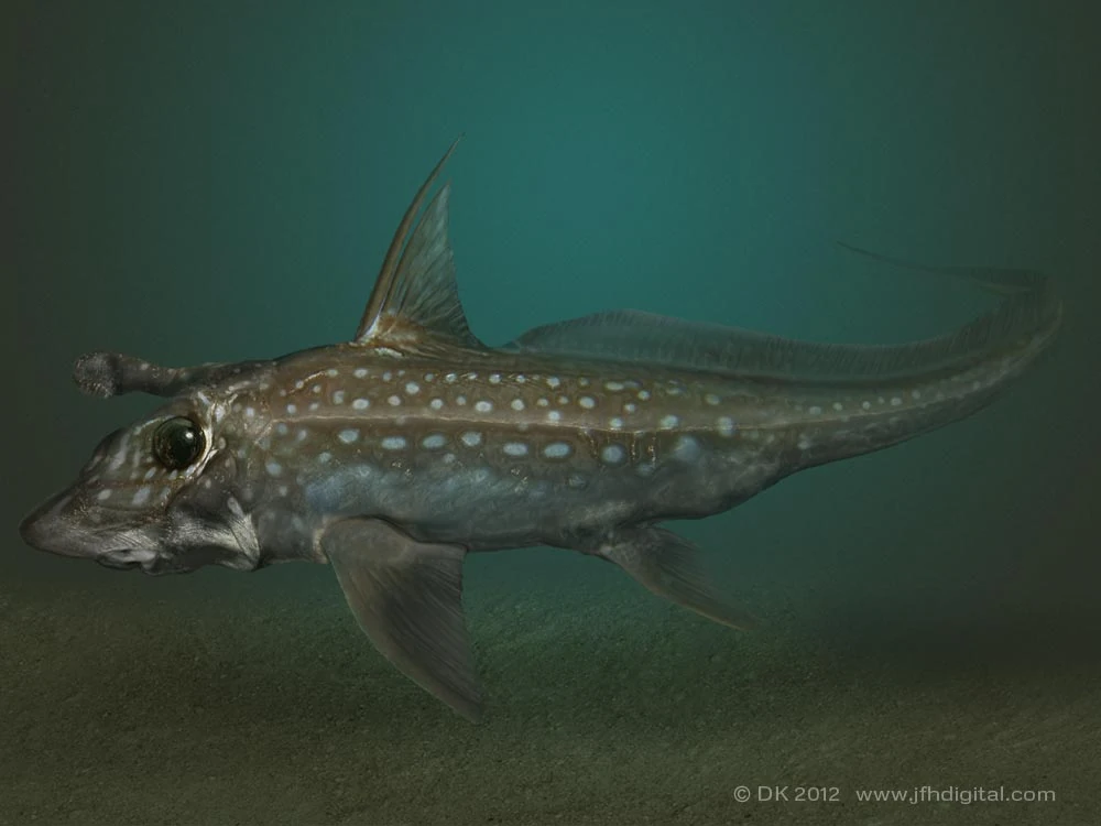 Ischyodus | Sauropedia Wiki | Fandom