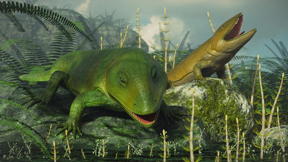 Pederpes | Sauropedia Wiki | Fandom