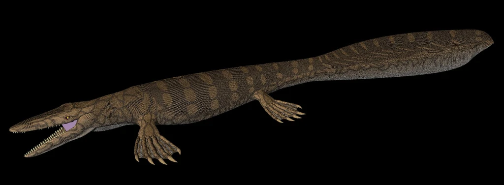 Taniwhasaurus | Sauropedia Wiki | Fandom