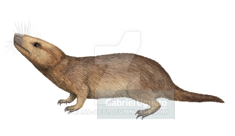 Morganucodon | Sauropedia Wiki | Fandom