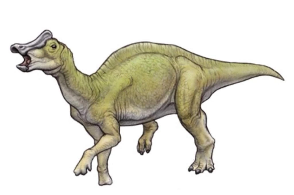 Nipponosaurus | Sauropedia Wiki | Fandom