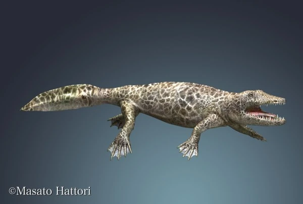 Megalocephalus | Sauropedia Wiki | Fandom