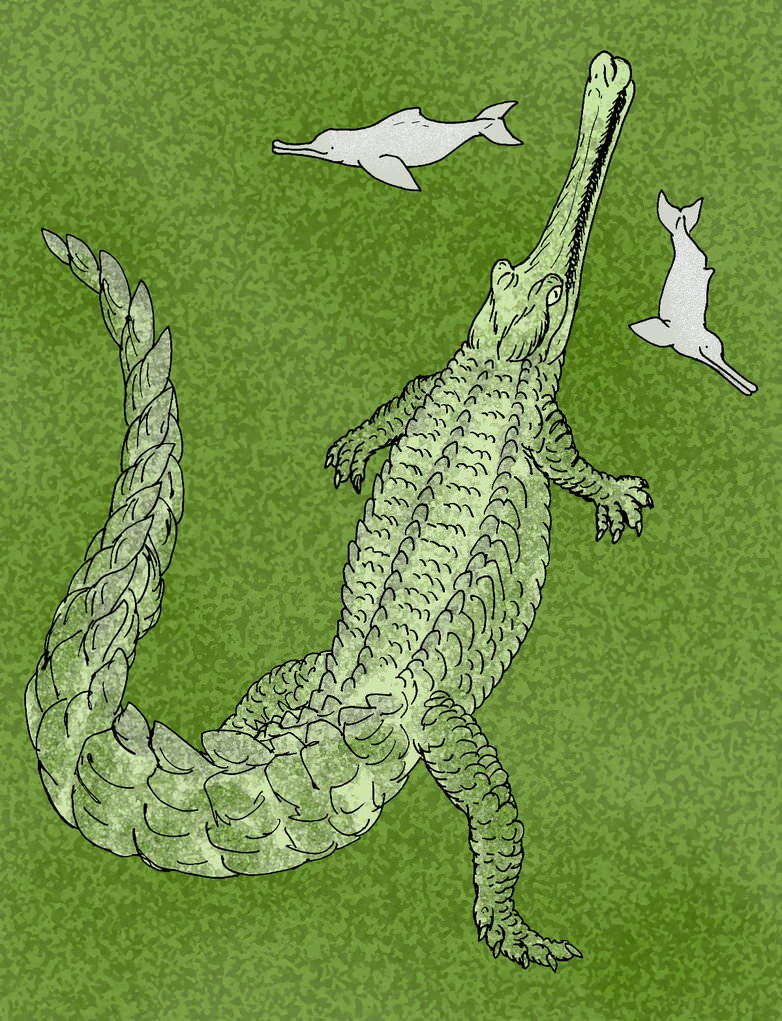 Rhamphosuchus | Sauropedia Wiki | Fandom