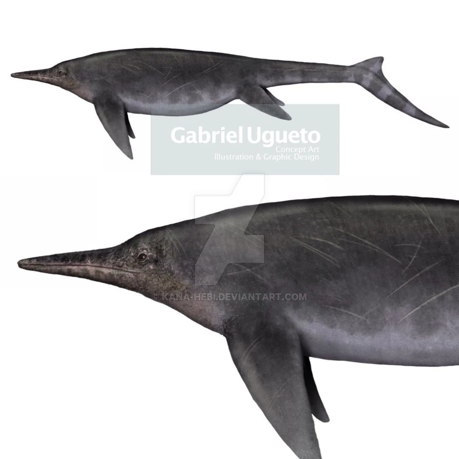 Guizhouichthyosaurus | Sauropedia Wiki | Fandom