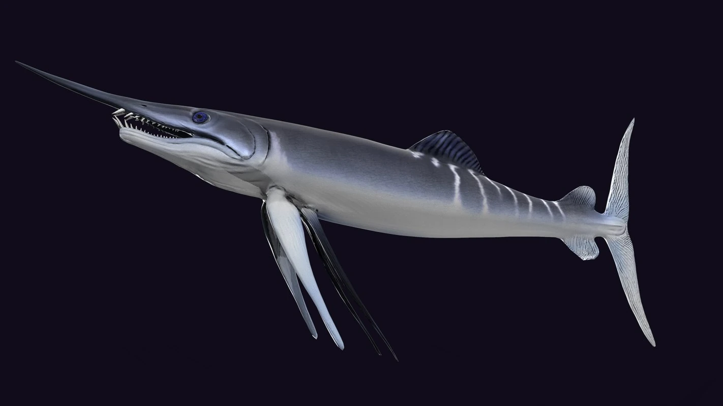 Protosphyraena | Sauropedia Wiki | Fandom