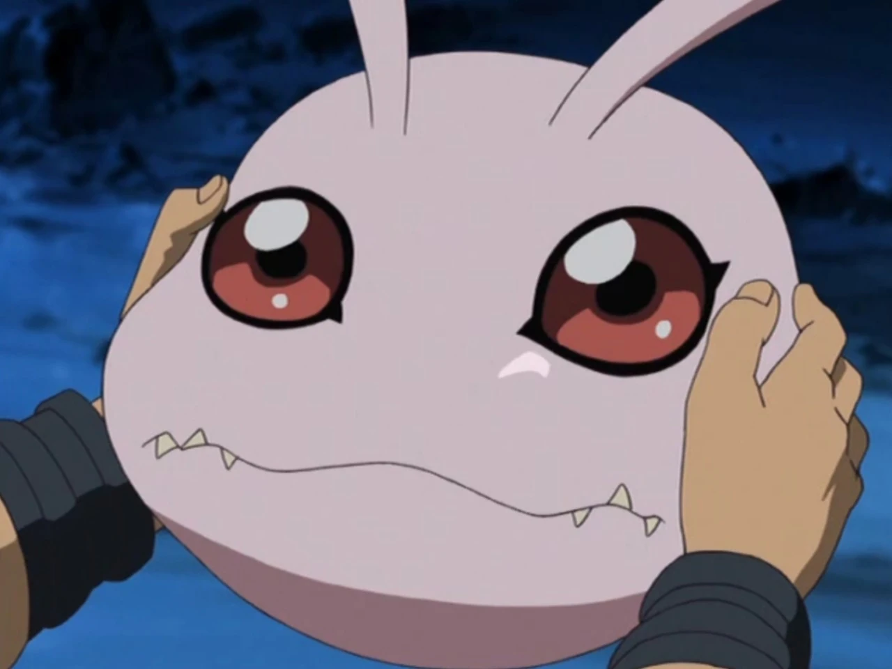 Koromon | Digimon Data Squad Wiki | Fandom