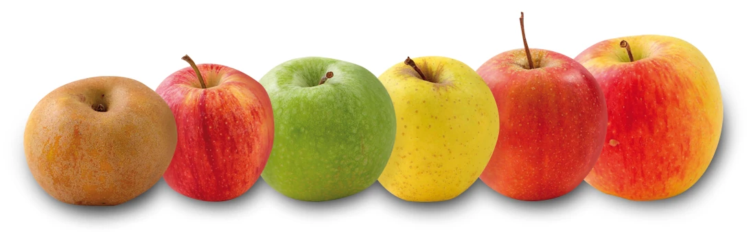 Pomme | Wikia Saveurs du monde | Fandom