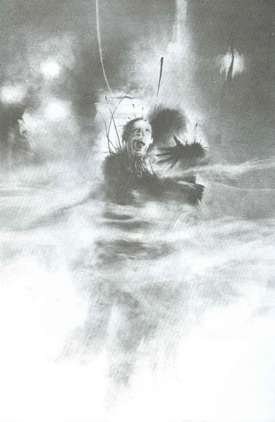 Somebody Fell From Aloft | Scary Stories to Tell in the Dark Wiki | Fandom