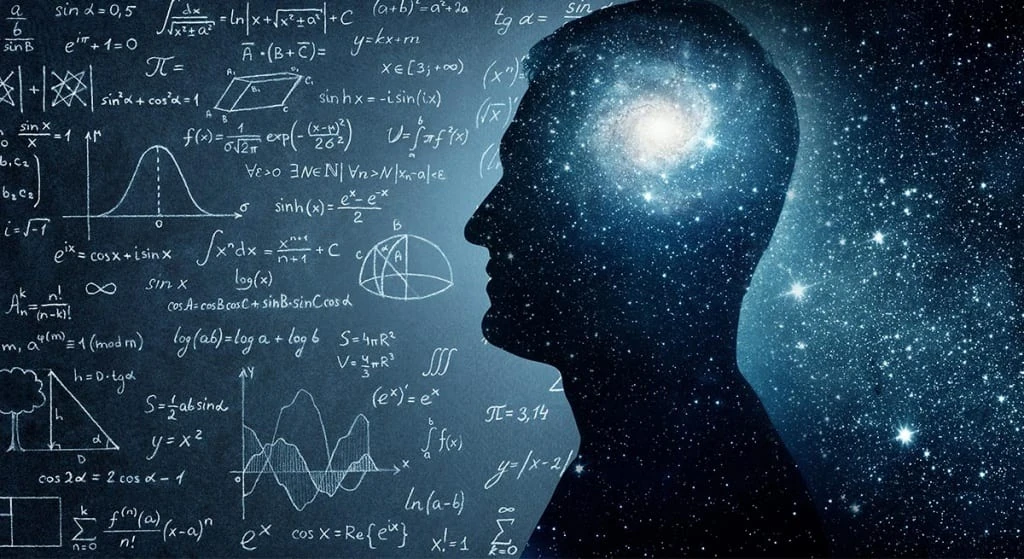 Εγκέφαλος | Science Wiki | Fandom