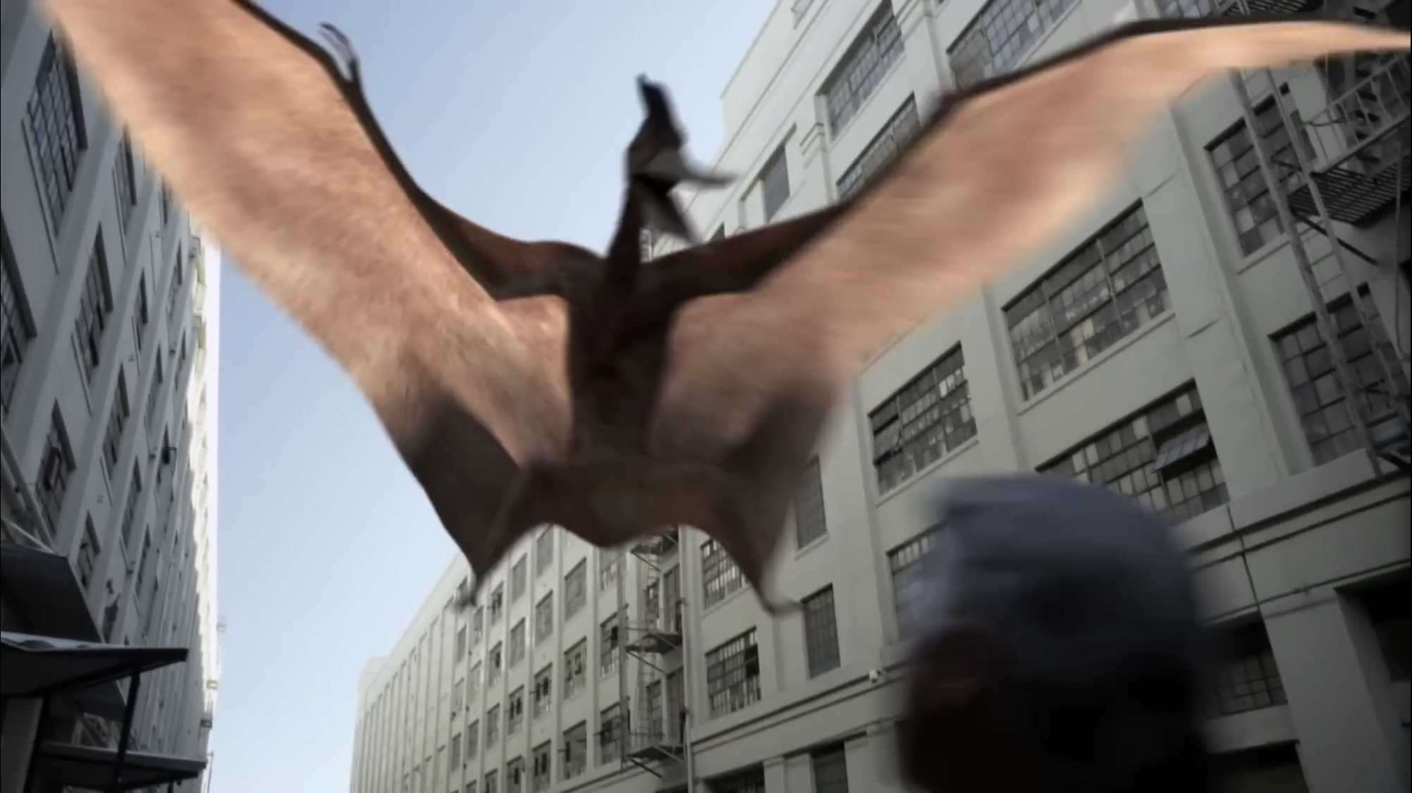 Pteranodon Age Of Dinosaurs Syfy Wiki Fandom Powered By Wikia