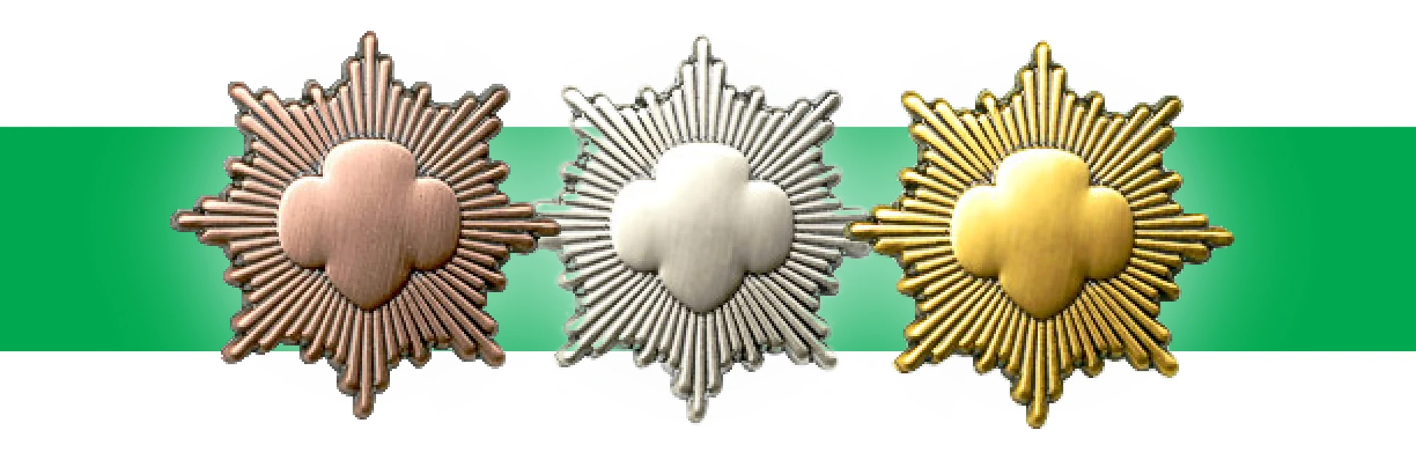 Gold Award, Silver Award, and Bronze Award | Scouts Honor Wiki | FANDOM ...