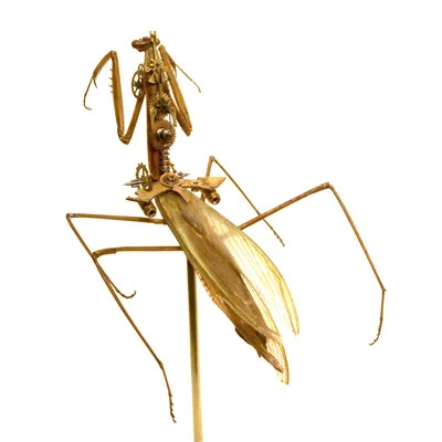 SCP-217 | SCP Mod Wiki | FANDOM powered by Wikia