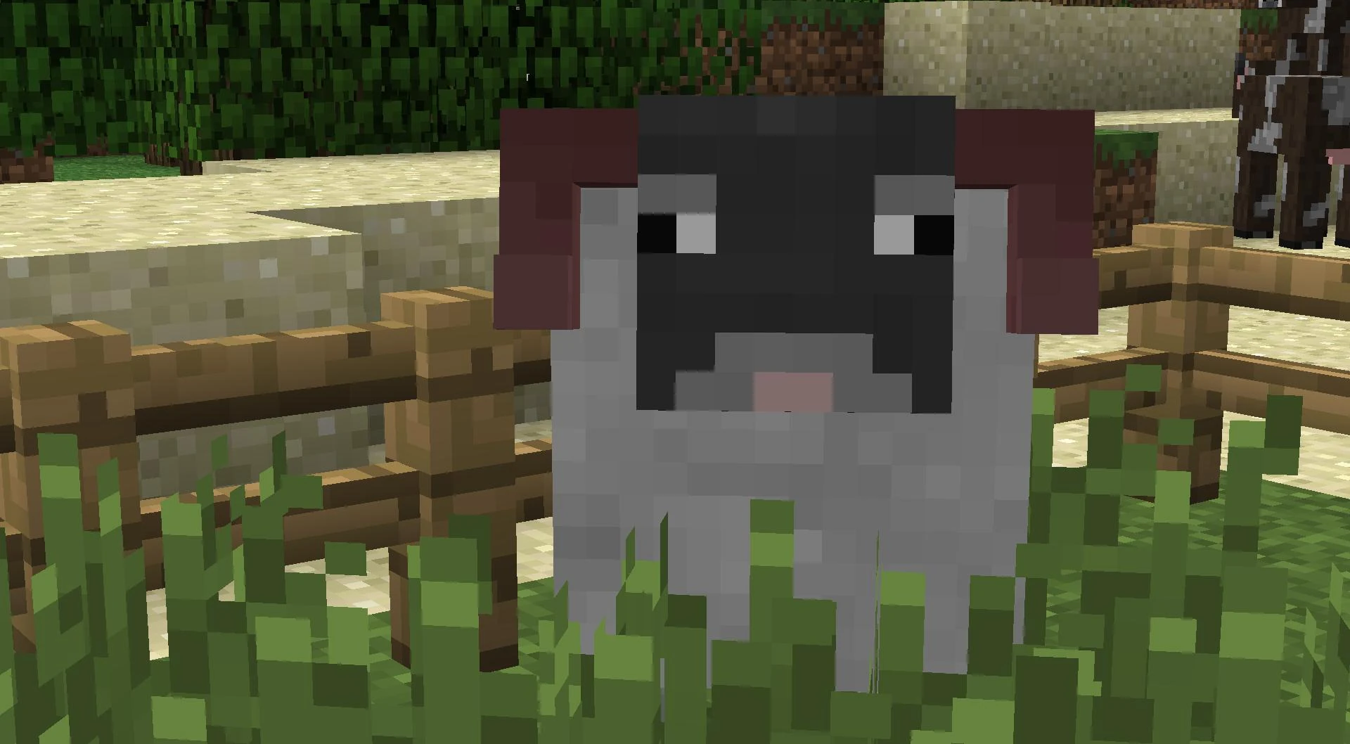 SCP-594 | SCP Mod Wiki | Fandom