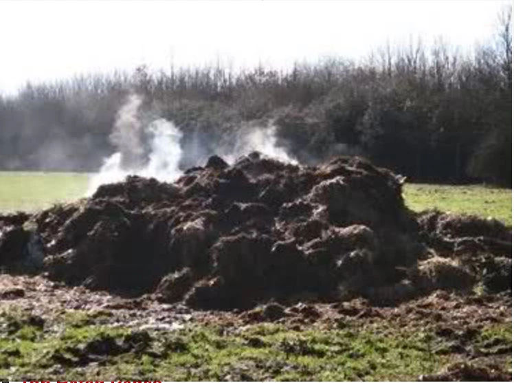 SCP-100-J | Wiki La Fundación SCP | Fandom