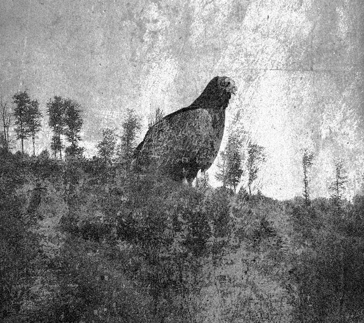 SCP-1160 | Wiki La Fundación SCP | FANDOM powered by Wikia