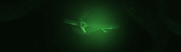 SCP-3000 | Wiki La Fundación SCP | FANDOM powered by Wikia