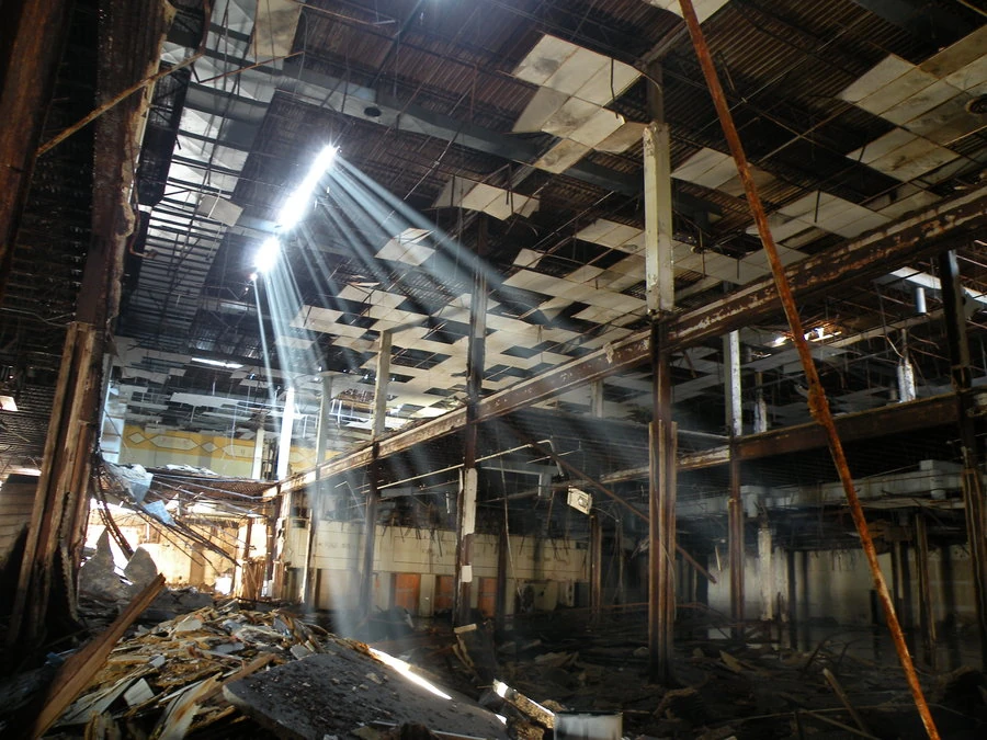 SCP-821 | Wiki La Fundación SCP | Fandom