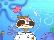 Sandy Cheeks/Gallery | Scratchpad | Fandom