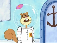 Sandy Cheeks/Gallery | Scratchpad | FANDOM powered by Wikia