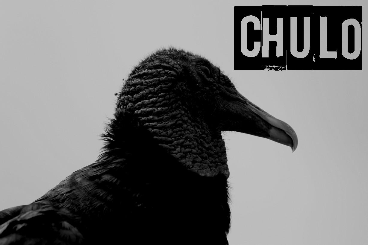 Chulo | Scratchpad | Fandom Chulo | Scratchpad | Fandom