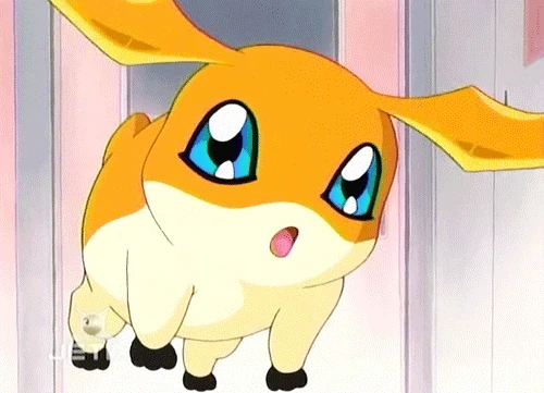 Patamon (Character) | Scratchpad | FANDOM powered by Wikia