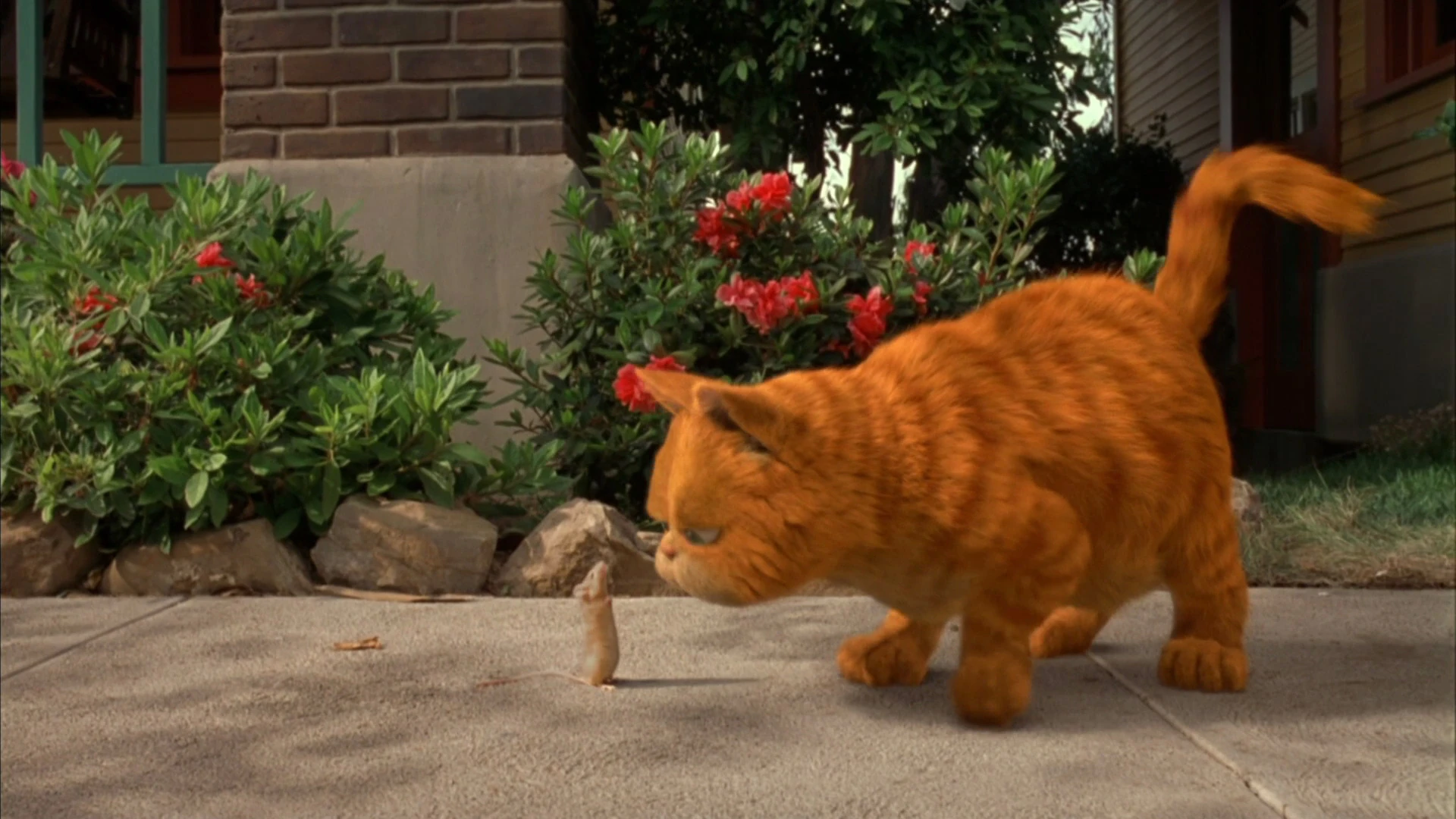 Image - Garfield-movie-screencaps.com-726.jpg | Scratchpad | FANDOM ...