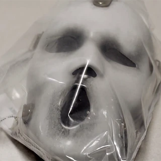 Brandon James Mask | Scream Wiki | Fandom