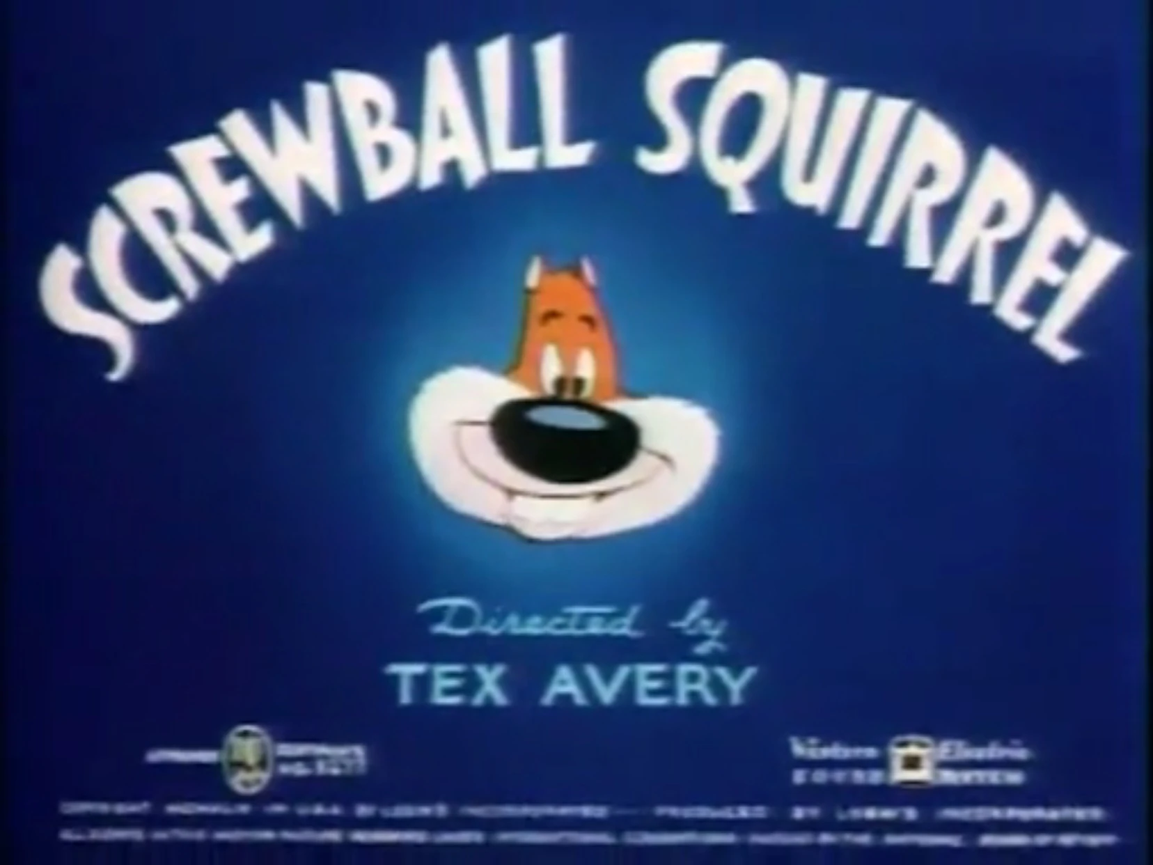 Screwball Squirrel | Screwy Squirrel Wikia | Fandom