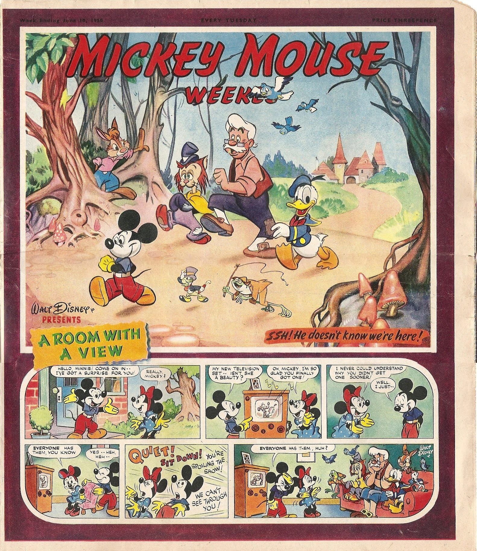 A Room with a View | Scrooge McDuck Wikia | Fandom