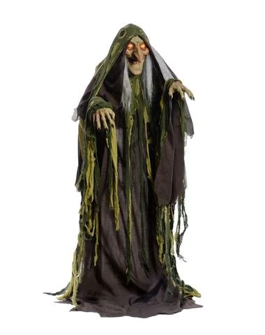 Rising Swamp Hag | Seasonal Visions Wiki | Fandom