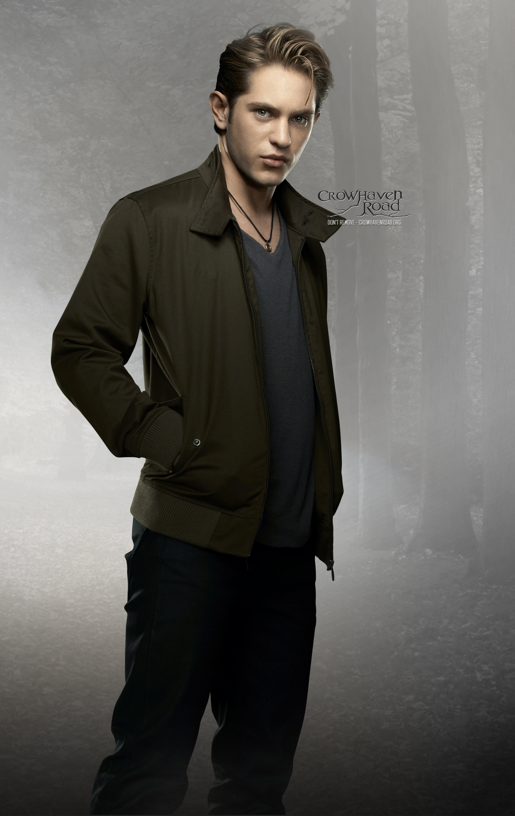 Louis Hunter | The Secret Circle Wiki | FANDOM powered by Wikia Louis Hunter | The Secret Circle Wiki | FANDOM powered by Wikia