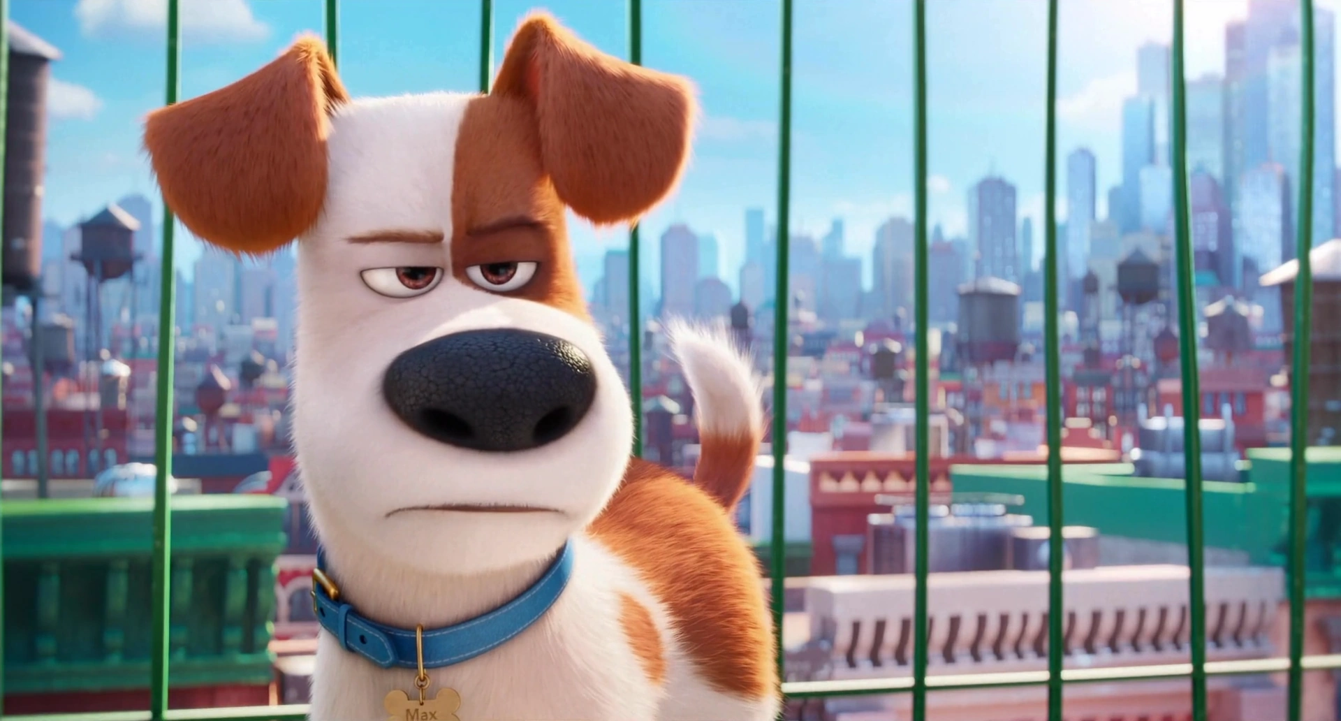 Image - Max seriously.png | The Secret Life of Pets Wiki | FANDOM ...