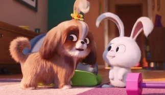Daisy | The Secret Life of Pets Wiki | FANDOM powered by Wikia