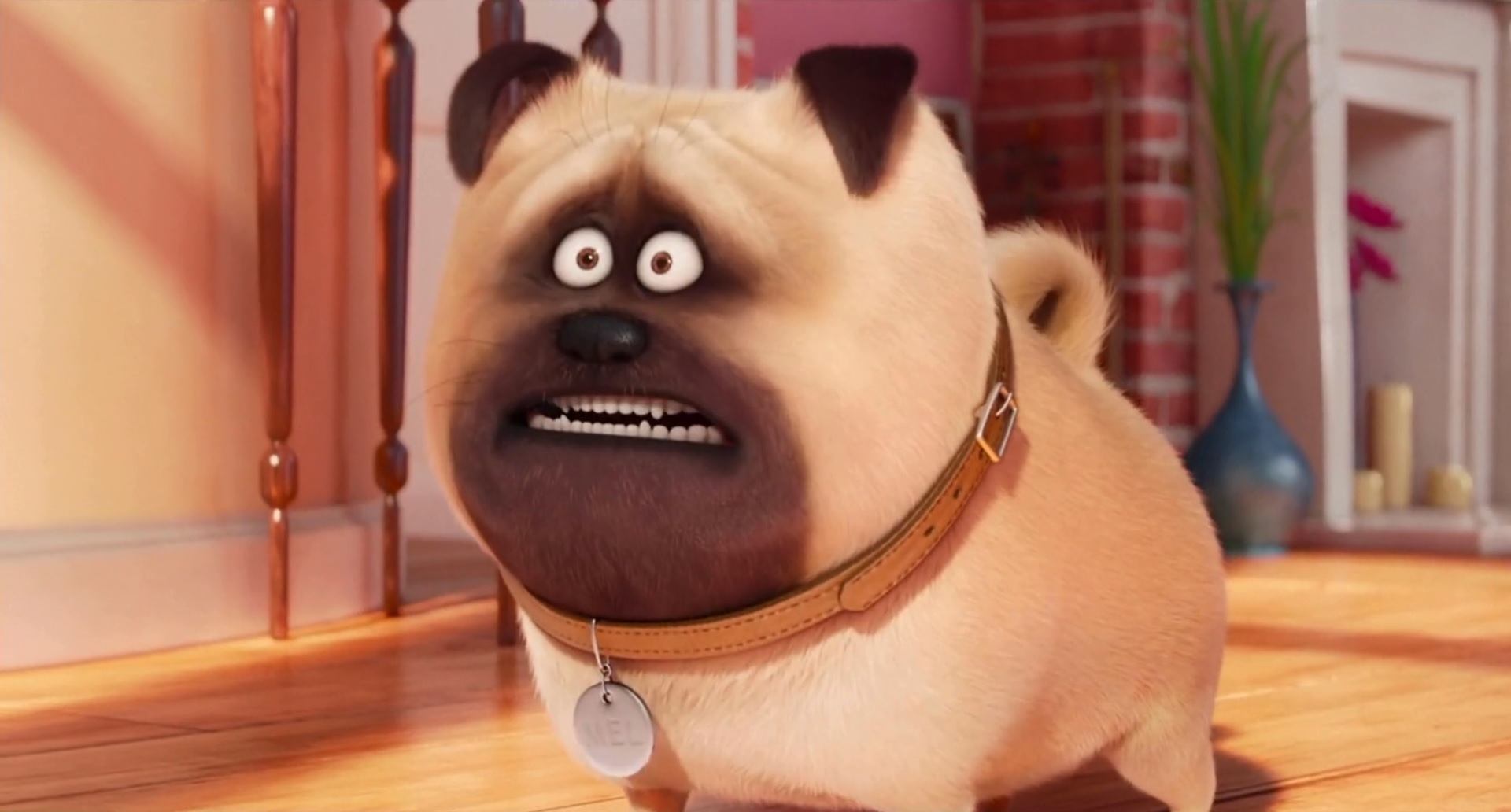 Image - Mel so I passed out of fear.jpeg | The Secret Life of Pets Wiki ...