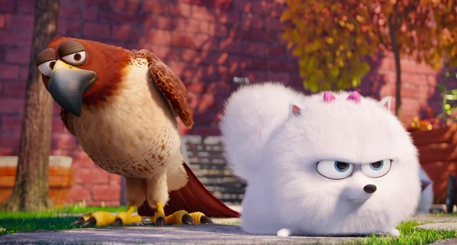 Image - Gidget angry.png | The Secret Life of Pets Wiki | FANDOM ...