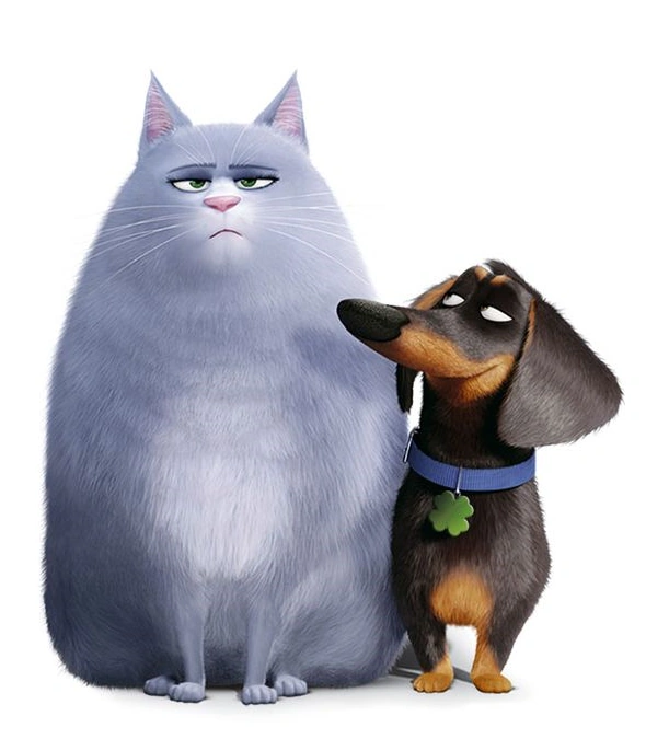 Image - Buddy and chloe.png | The Secret Life of Pets Wiki | FANDOM ...