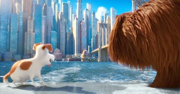 Duke/Gallery | The Secret Life of Pets Wiki | FANDOM powered by Wikia