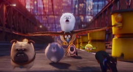 Tiberius/Gallery | The Secret Life of Pets Wiki | Fandom