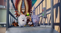 Tiberius/Gallery | The Secret Life of Pets Wiki | Fandom