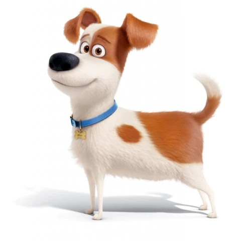Image - Max pets movie 2.jpg | The Secret Life of Pets Wiki | FANDOM ...