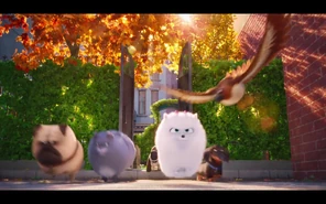Gidget/Gallery | The Secret Life of Pets Wiki | FANDOM powered by Wikia